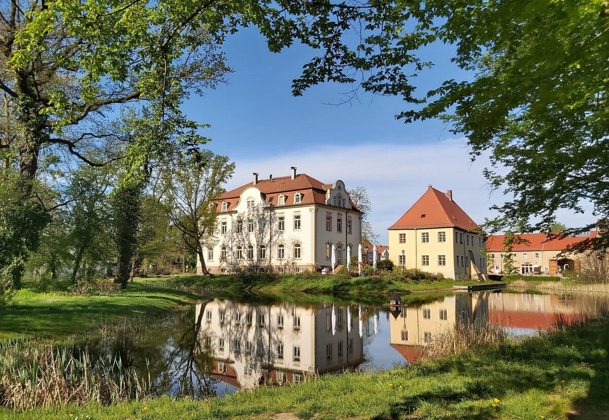 1. Steinbildhauer-Pleinair am Hainer See - Leipzigseen